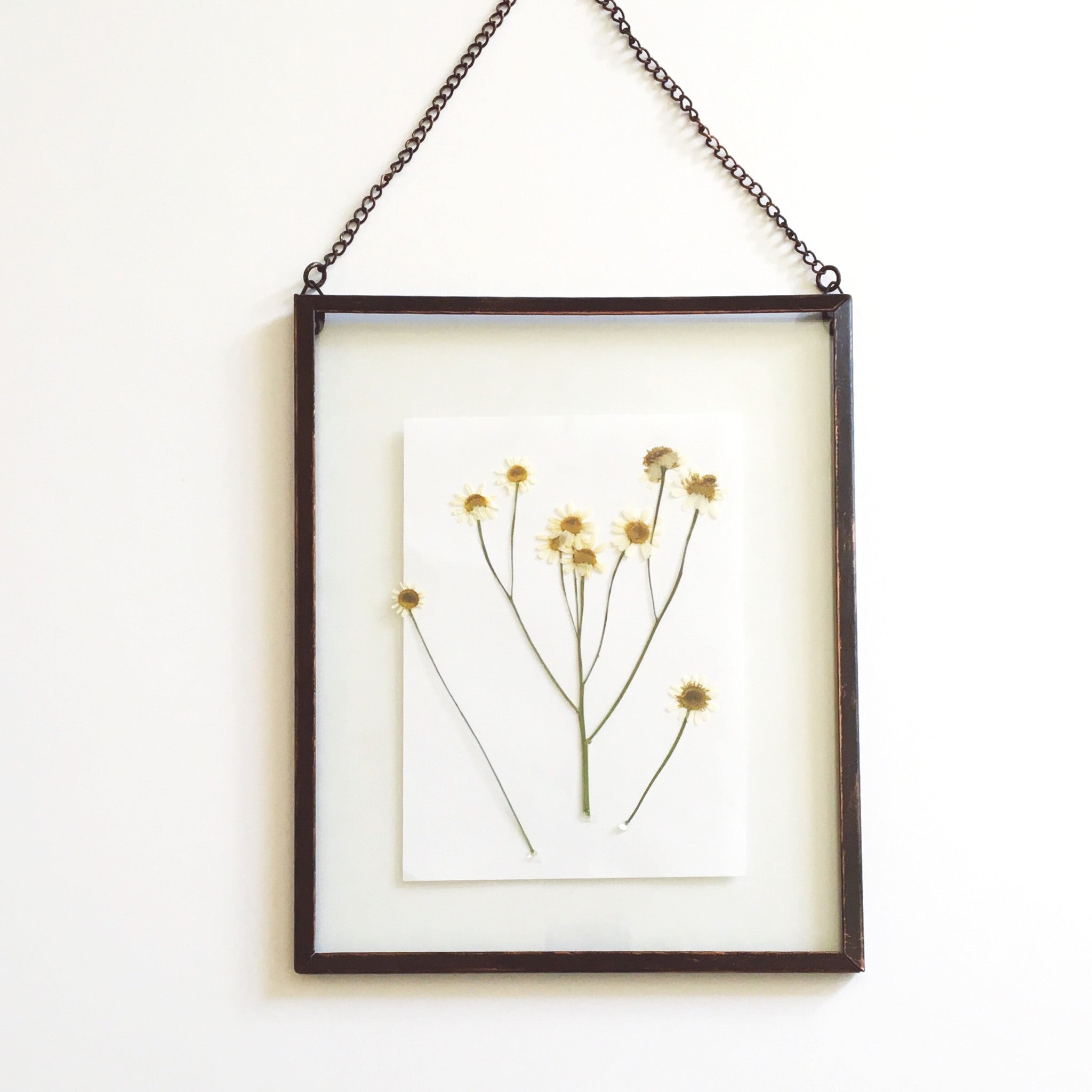 DIY: Pressed Flower Frame – Flyaway Bluejay